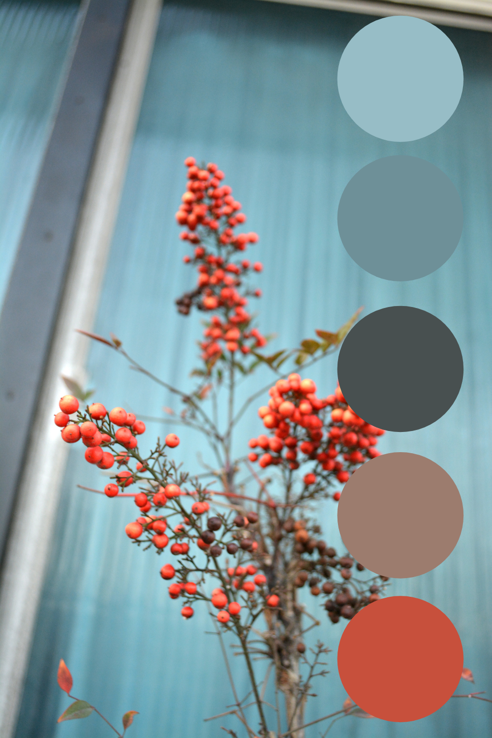 Teal and Orange Color Palette - Delightfully Designed